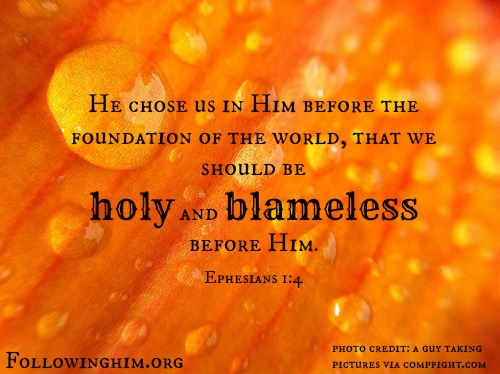 You are chosen to be holy and blameless - Following Him
